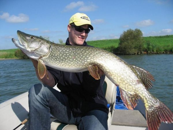 Roofvis foto’s – Hengelsport Rijssen